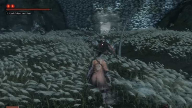 Sekiro Beginners Combat Tips and Tricks - Gamer Tweak