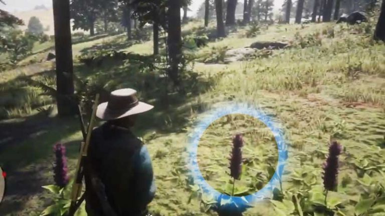 Hummingbird Sage RDR2 Location Guide - Where To Find Hummingbird Sage Plant