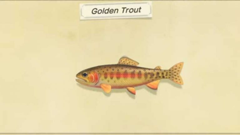 How To Get Golden Trout In Animal Crossing New Horizons
