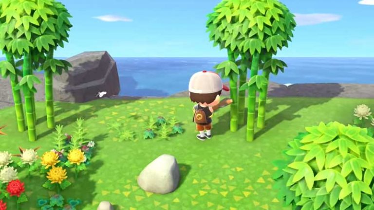 How To Get Bamboo In Animal Crossing New Horizons (ACNH)
