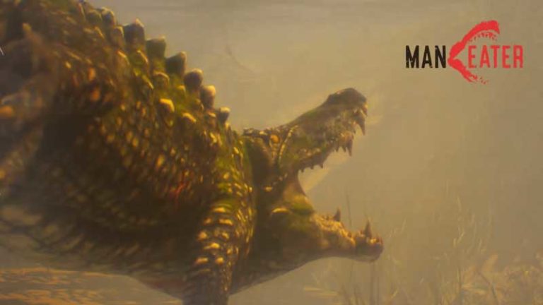 Maneater Guide: List Of All Apex Predators To Beat - Gamer Tweak