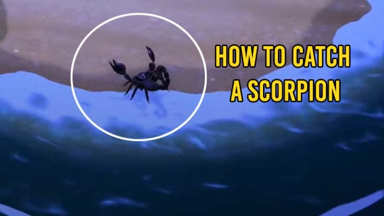 How To Catch A Scorpion In Animal Crossing New Horizons (ACNH)