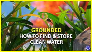 Grounded Clean Water: How To Find & Store