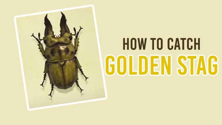 How To Catch A Golden Stag In ACNH - Gamer Tweak