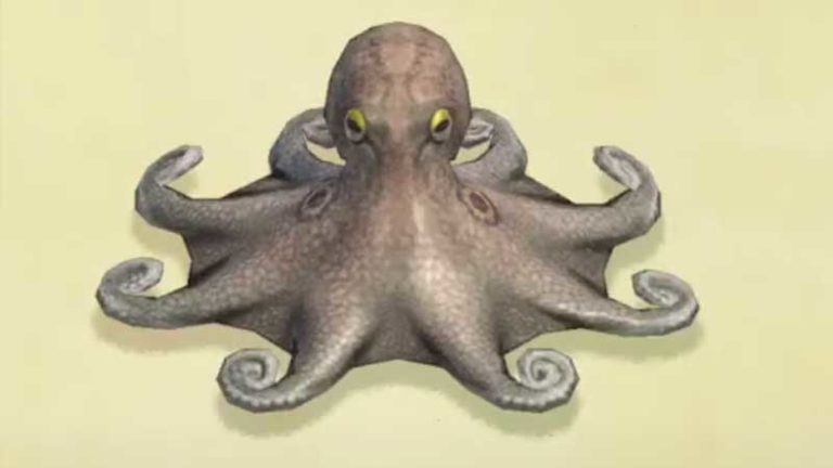 How To Catch An Octopus In Animal Crossing New Horizons?
