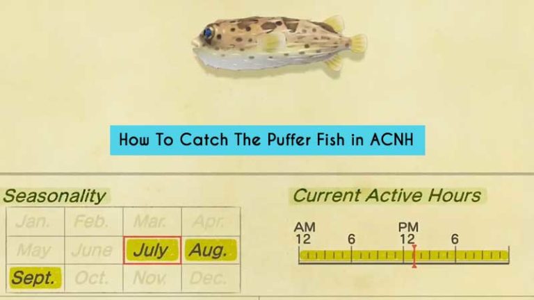 Puffer Fish In ACNH: How To Catch It? - Gamer Tweak