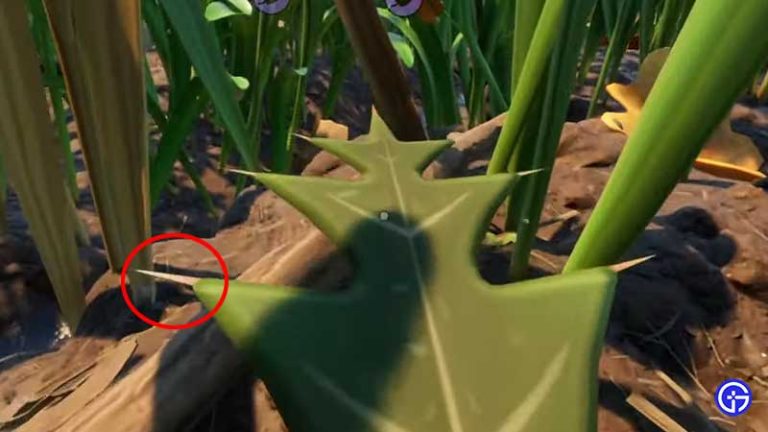 How To Find Thistle Needles In Grounded (Farming Guide)