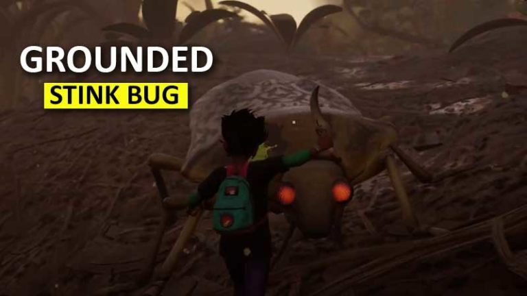 How To Kill Stink Bugs Grounded