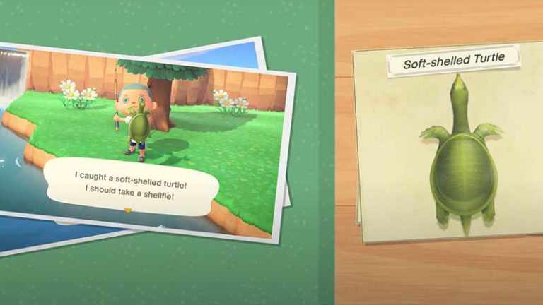 How To EASILY Catch A Soft-Shelled Turtle In ACNH?