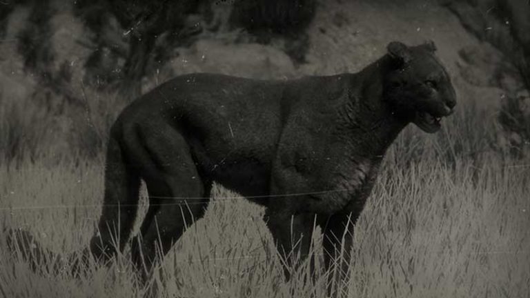 Where to find Legendary Cougar in RDR2 Online - Maza, Sapa & Iguga