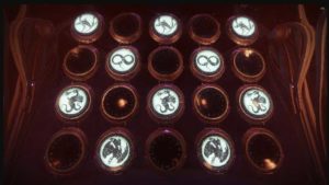 All Wishes on the Wall of Wishes in Destiny 2’s The Last Wish Raid ...