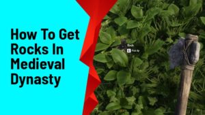 Medieval Dynasty: How To Get Rocks (Explained) - Gamer Tweak