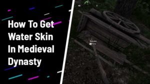 How To Get Water Skin In Medieval Dynasty - Gamer Tweak