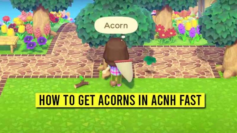 How To Get Acorns In Animal Crossing New Horizons (ACNH) 2021