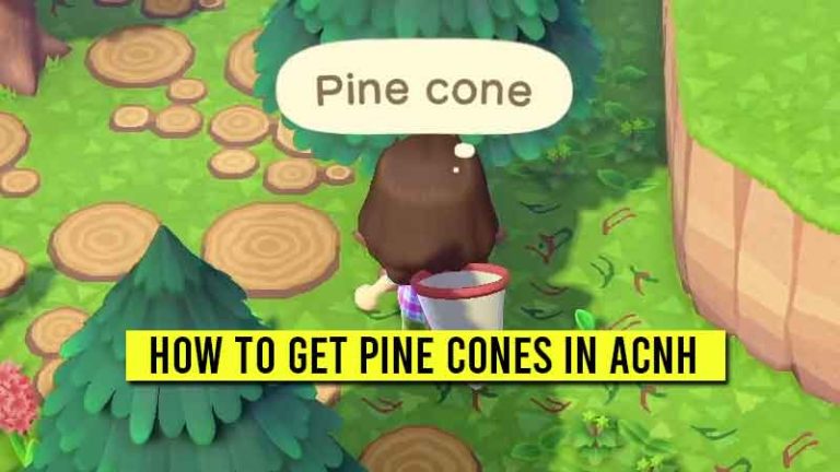 How To Get Pine Cones In ACNH | Pine Cone DIY Recipes