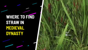 Medieval Dynasty Straw Locations: Where To Find It Easily