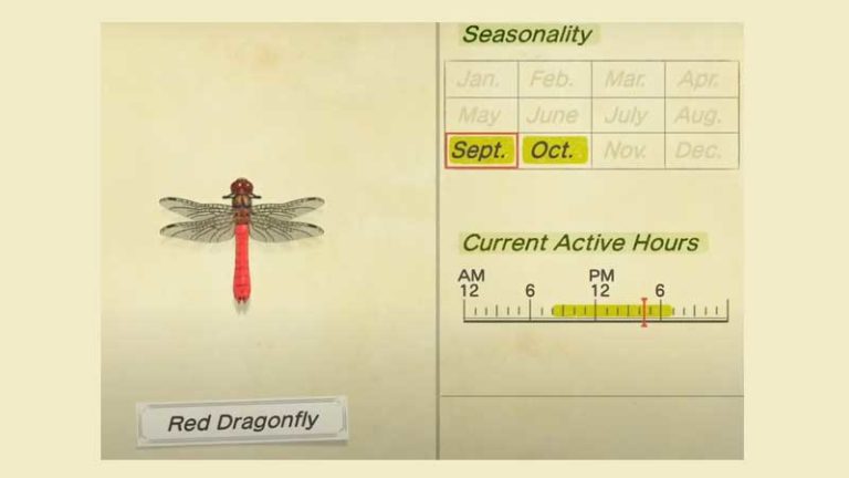 How To Catch A Red Dragonfly In ACNH Easily - Gamer Tweak