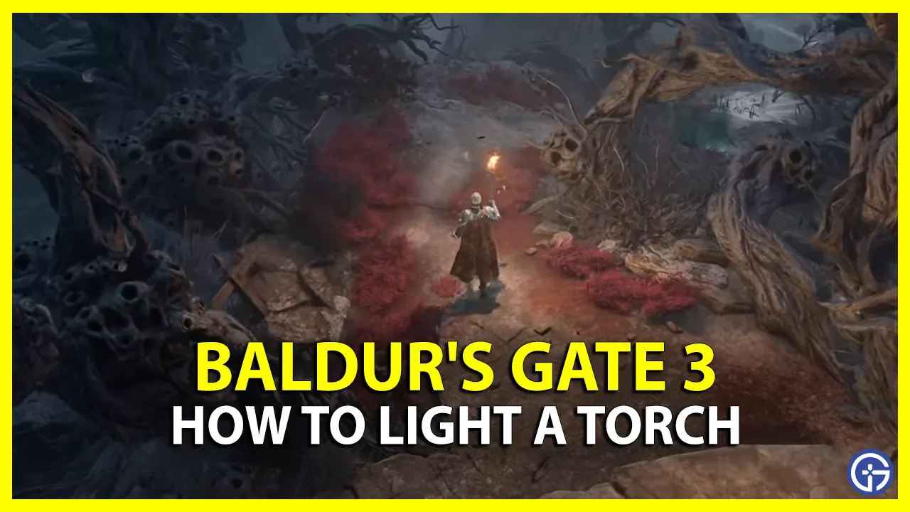 How To Light Torch In Baldur's Gate 3 (Use Light Source In BG3)