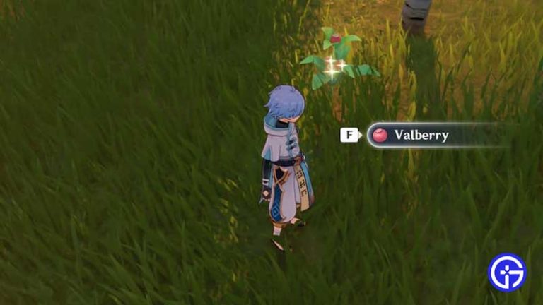 Genshin Impact Valberry Farming Location Guide - Gamer Tweak