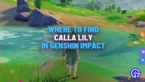 Where To Find Genshin Impact Calla Lily Location (Farming Guide)