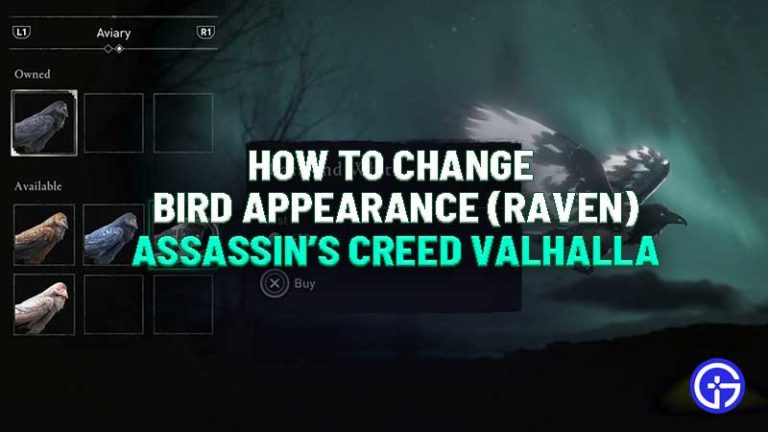 AC Valhalla: How To Customize Raven | Change Bird Appearance