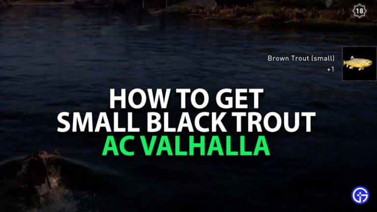 AC Valhalla: Where To Find Small Brown Trout Location | How To Get