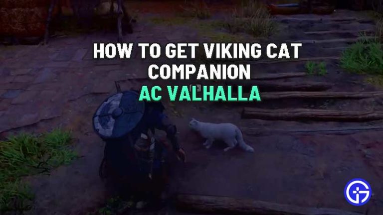 AC Valhalla: How To Get Viking Cat For Longship | Freyja's Friend