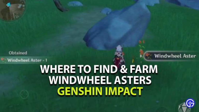 Genshin Impact Windwheel Aster Location | Where To Find & Farm