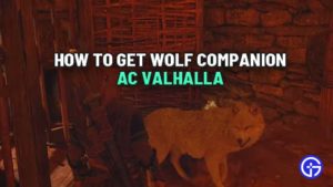 How To Get Wolf Companion In AC Valhalla | Unlock This Pet