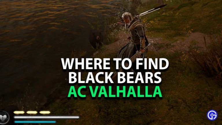 AC Valhalla: Where To Find Black Bear Fur (Location)