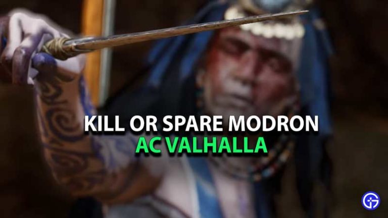 AC Valhalla: Kill Modron Or Spare Modron Choice Consequences Guide