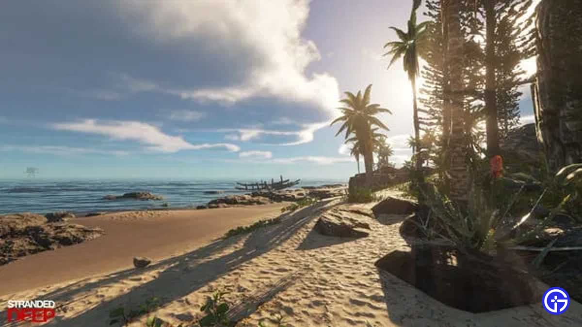 How To Get Water In Stranded Deep (With & Without Coconuts)