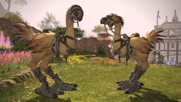 How To Get Thavnairian Onions In Final Fantasy XIV
