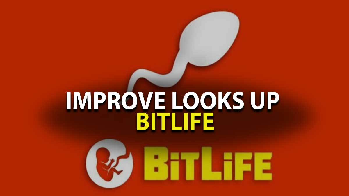 How To Easily Get Looks Up In BitLife - Best Character Appearance Guide