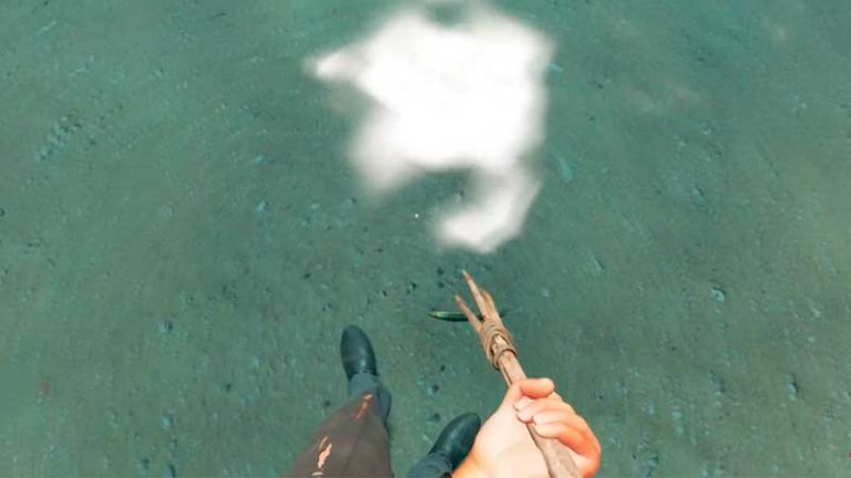 How To Catch and Cook Fish In Stranded Deep?