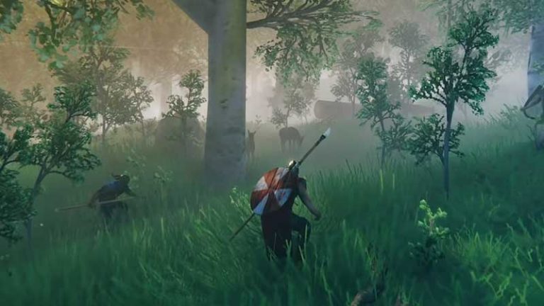 Valheim: How To Add Admins To Both Local & Dedicated Servers