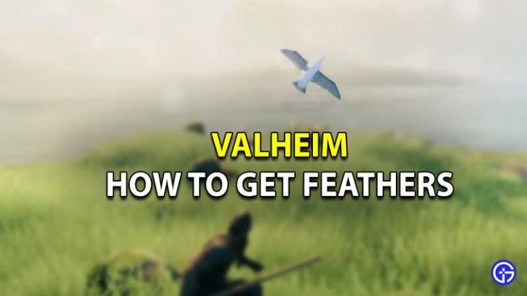 Valheim: How To Get Feathers Easily | Tips To Farm Feather
