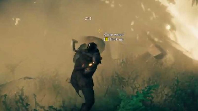 How To Get Core Wood In Valheim For Building - Gamer Tweak
