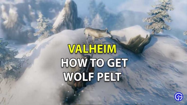 How To Get Wolf Pelt In Valheim | Location And Uses
