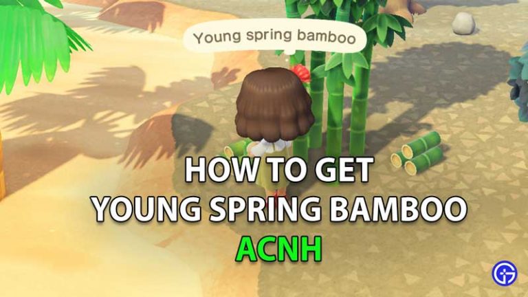 How To Get Young Spring Bamboo In ACNH Quickly