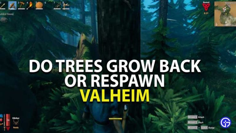 Valheim: Do Trees Grow Back Or Respwan | Resource Management Guide