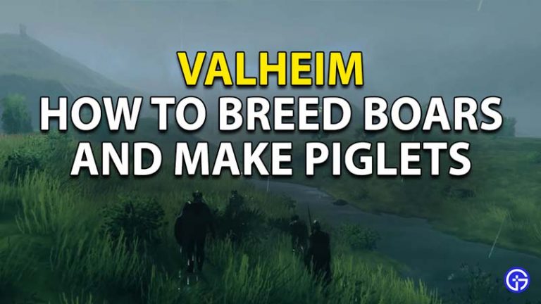 Valheim Breeding Guide: How To Breed Boars To Get Piglets?