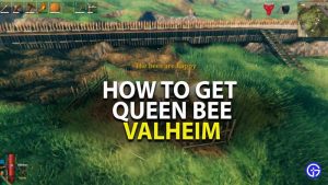 Valheim: How To Find A Queen Bee | Queen Bee Farming Guide