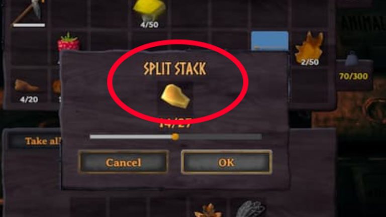 Valheim Inventory Guide: How to Split Item Stacks and Carry More?