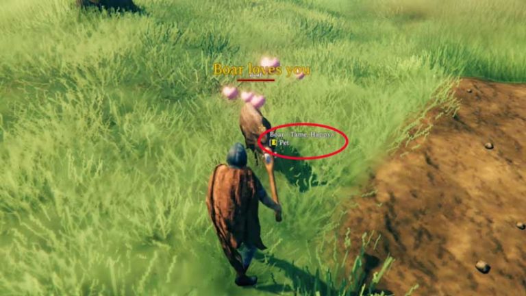 Valheim Breeding Guide: How To Breed Boars To Get Piglets?