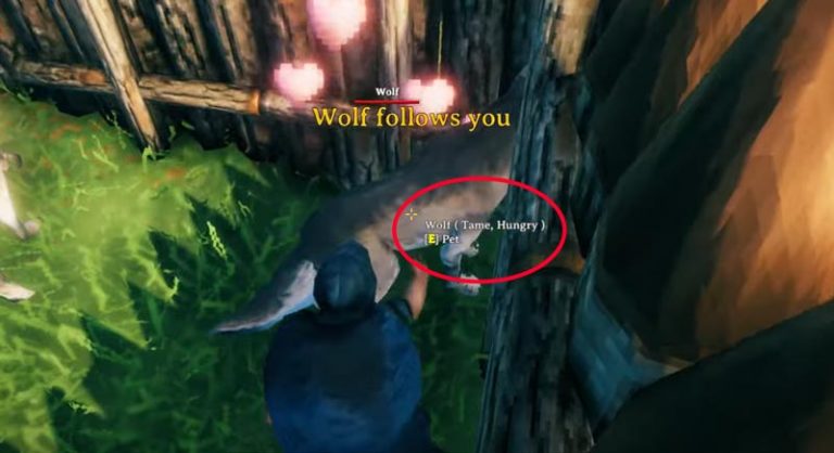Valheim Animal Taming Guide: How to Tame Wolves and their Location