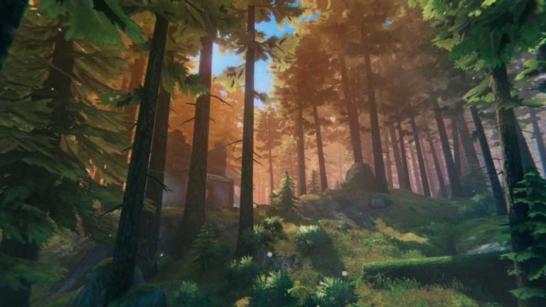 Valheim Biomes Progression Guide & List: What's In Every Biome