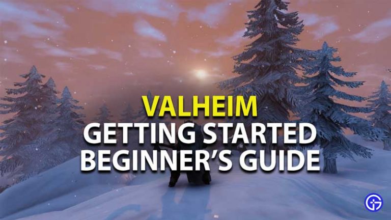 Valheim: Things To Know Before Getting Started | Beginner's Guide