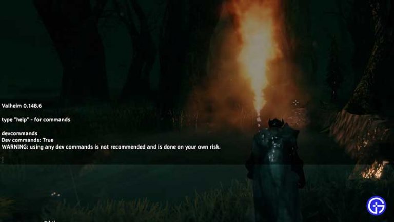 Valheim Console Commands Not Working Fix | Enable F5 Commands