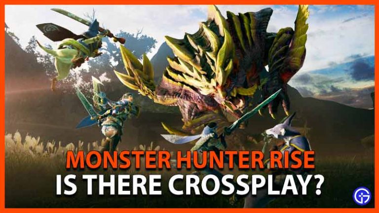 Monster Hunter Rise: Is There Crossplay For Switch & PC?